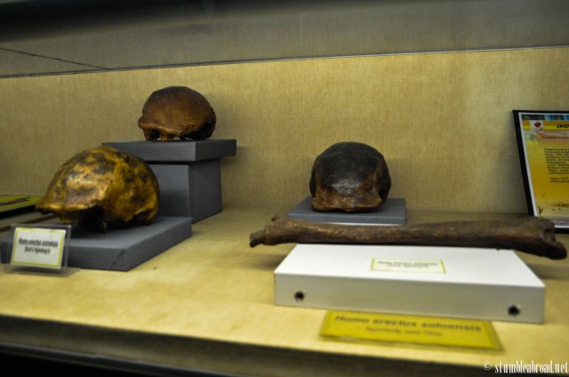 {BandungForKids} Museum Geologi | Stumble Abroad