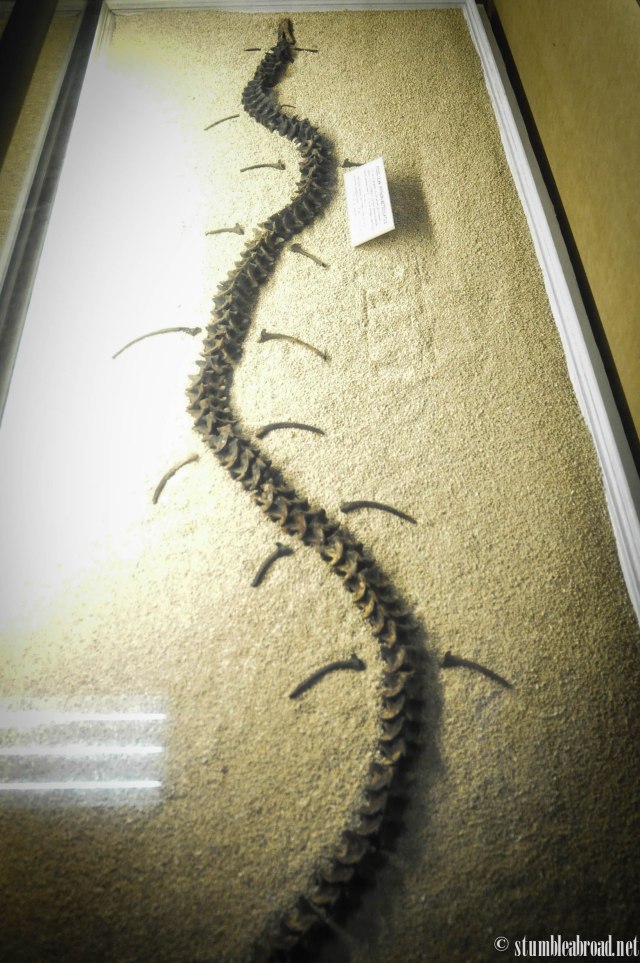 {BandungForKids} Museum Geologi | Stumble Abroad