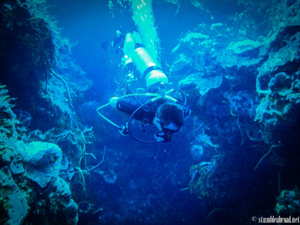 {Mexico} Diving at the Riviera Maya | Stumble Abroad